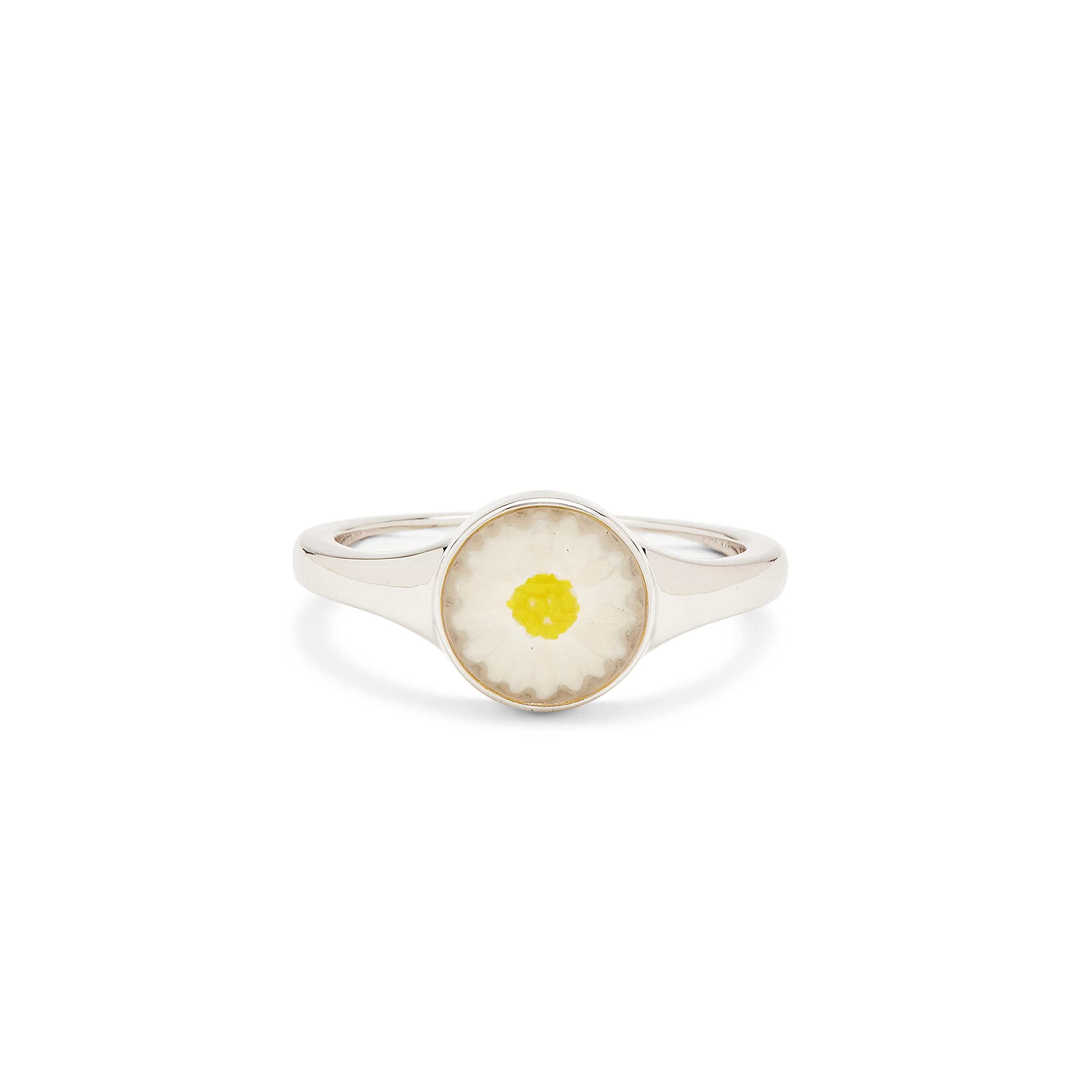 Pura Vida Silver-Plated Meadow Stackable Signet Ring - Brass Base, Stylish Design - Size 6