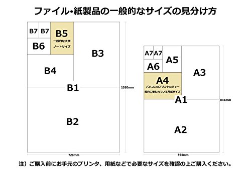 Kokuyo Campus Slide Binder, Adapt Slim, Double Pockets, A4, 30 Holes, Up to 65 Sheets, Transparent, Japan Import (RU-AP171T)