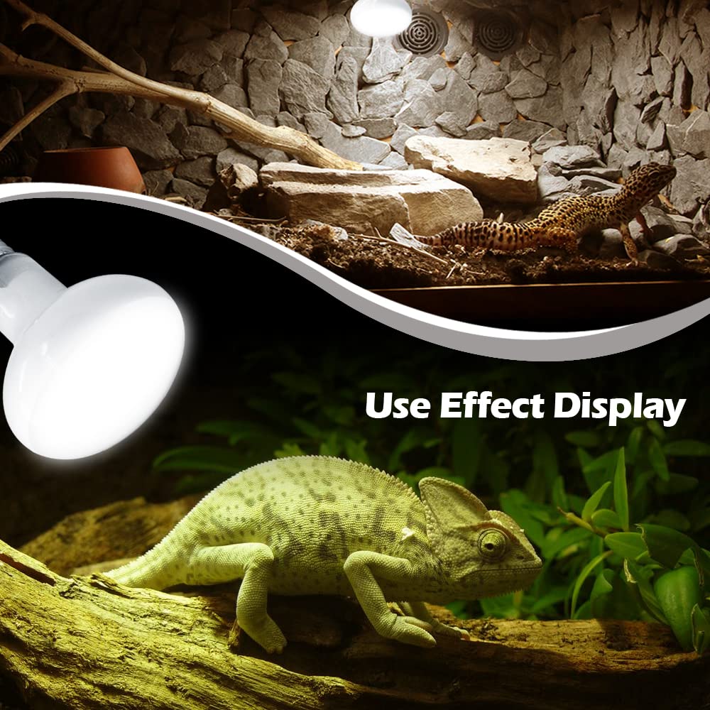 MCLANZOO Reptile Heat Lamp 75W 2 PACK,UVA Basking Spot Heat Lamp Bulbs,Natural Daylight Heating Light for Bearded Dragon, Turtle,Lizard,Chicken Brooder,Reptile with Digital Temperature Thermometer