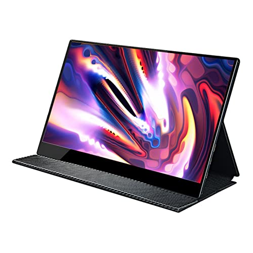 WWJ 13.3 Inch Portable Monitor, 1080p Mini HDMI USB Computer Monitor, Smart Case Included