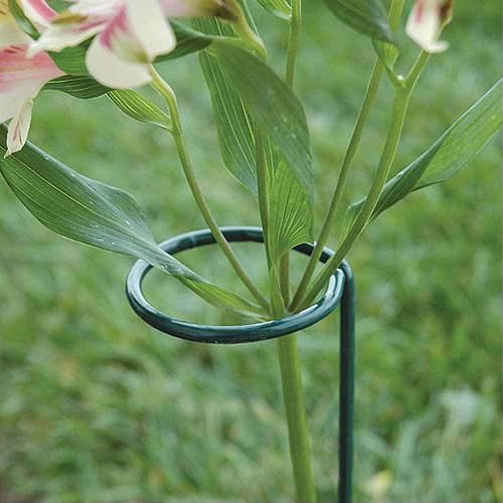 Tingyuan 36 Inches Single Stem Plant Support Stakes Steel Garden Stakes, Pack of 20