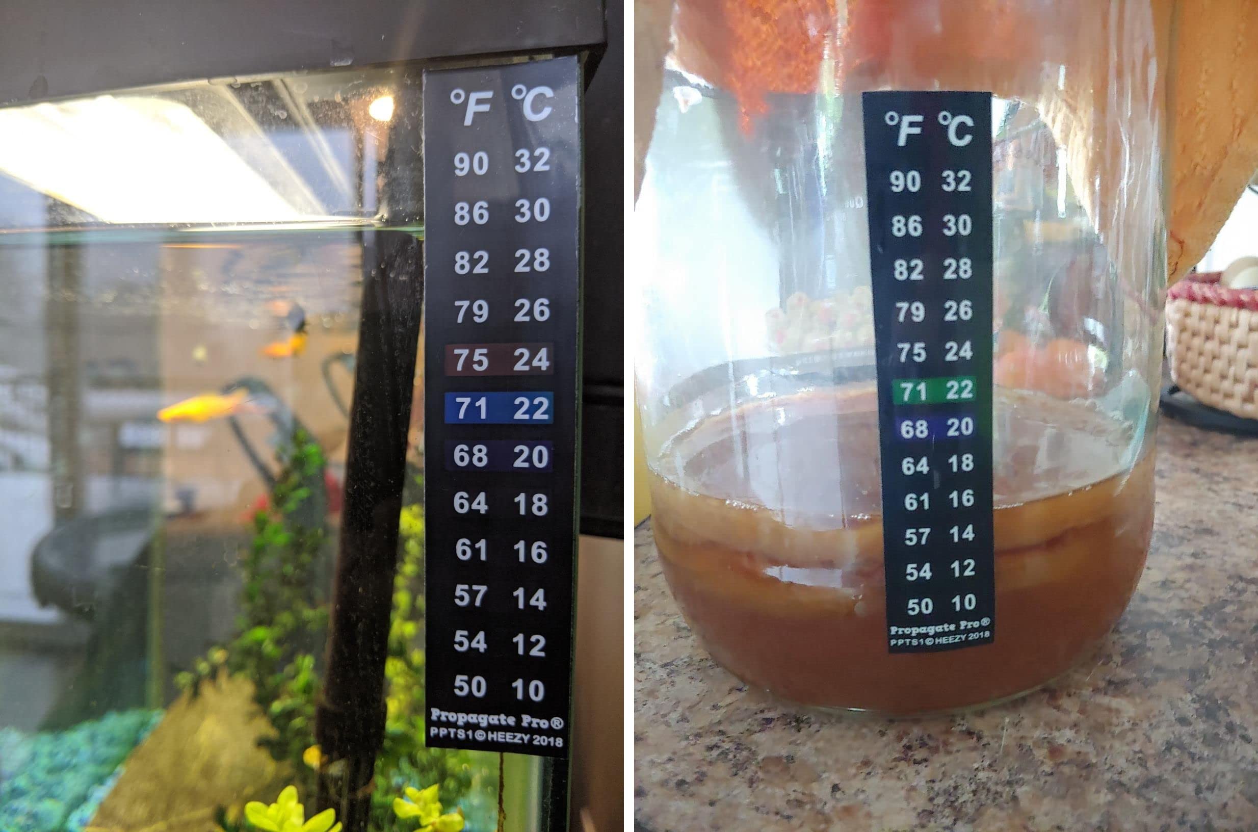Stick On Thermometer Strip, Digital Temperature Display for Fermenting, Brewing, Wine, Beer, Kombucha or Aquariums. 50-90F (10-32C) Adhesive Sticker 10 Pack (10)