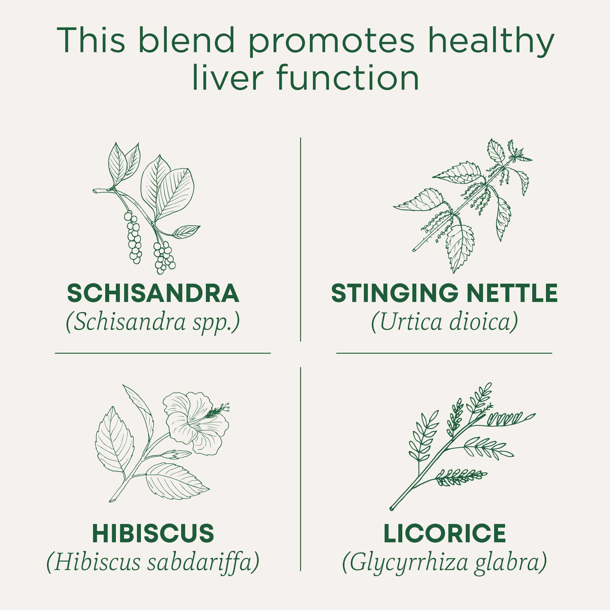 Traditional Medicinals Tea, Organic EveryDay Detox Schisandra Berry, Supports Healthy Liver Function, Detox, 96 Tea Bags (6 Pack)