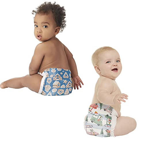 The Honest Company Clean Conscious Diapers | Plant-Based, Sustainable | Holiday '22 Prints | Club Box, Size 4 (22-37 lbs), 60 Count