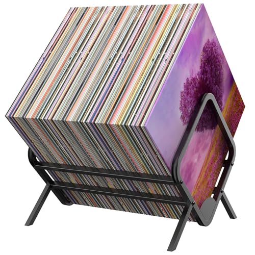 PIGTAB Record Storage Rack, Vinyl Record Holder for Storing 80-110 Vinyl Records, Metal Record Shelf with Dividers for Organizing Albums, Books, Magazines, Files(Matte Black)