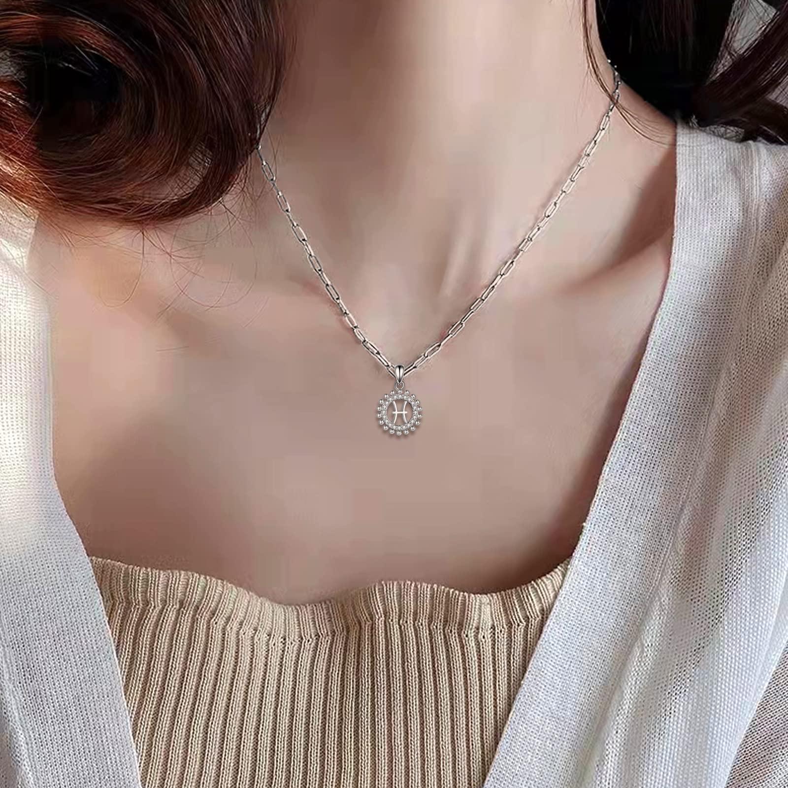 S925 Sterling Silver Zodiac Sign Necklace 12 Constellation Astrology Paperclip Chain Necklace for Women Pisces (2.19-3.20)