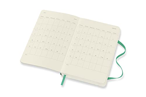 Moleskine Classic 12 Month 2022 Daily Planner, Soft Cover, Pocket (3.5" x 5.5"), Ice Green