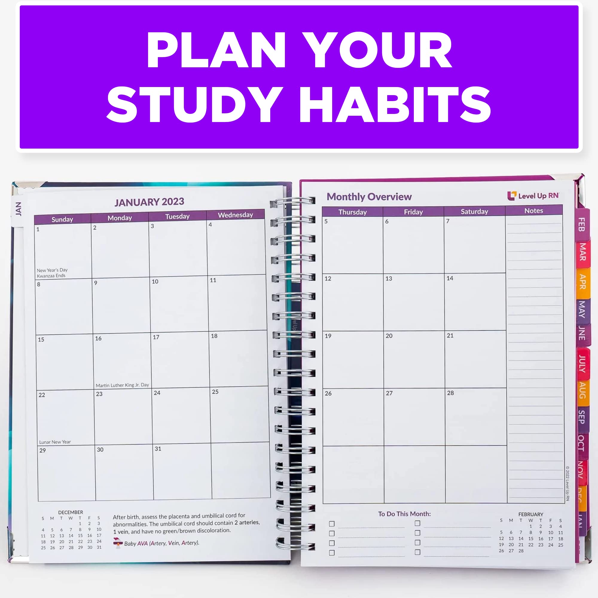 Nursing School Study Planner - Nursing Student Gifts - Fall/Spring Academic Year - Dates Start August 1, 2023 & Ends August 31, 2024