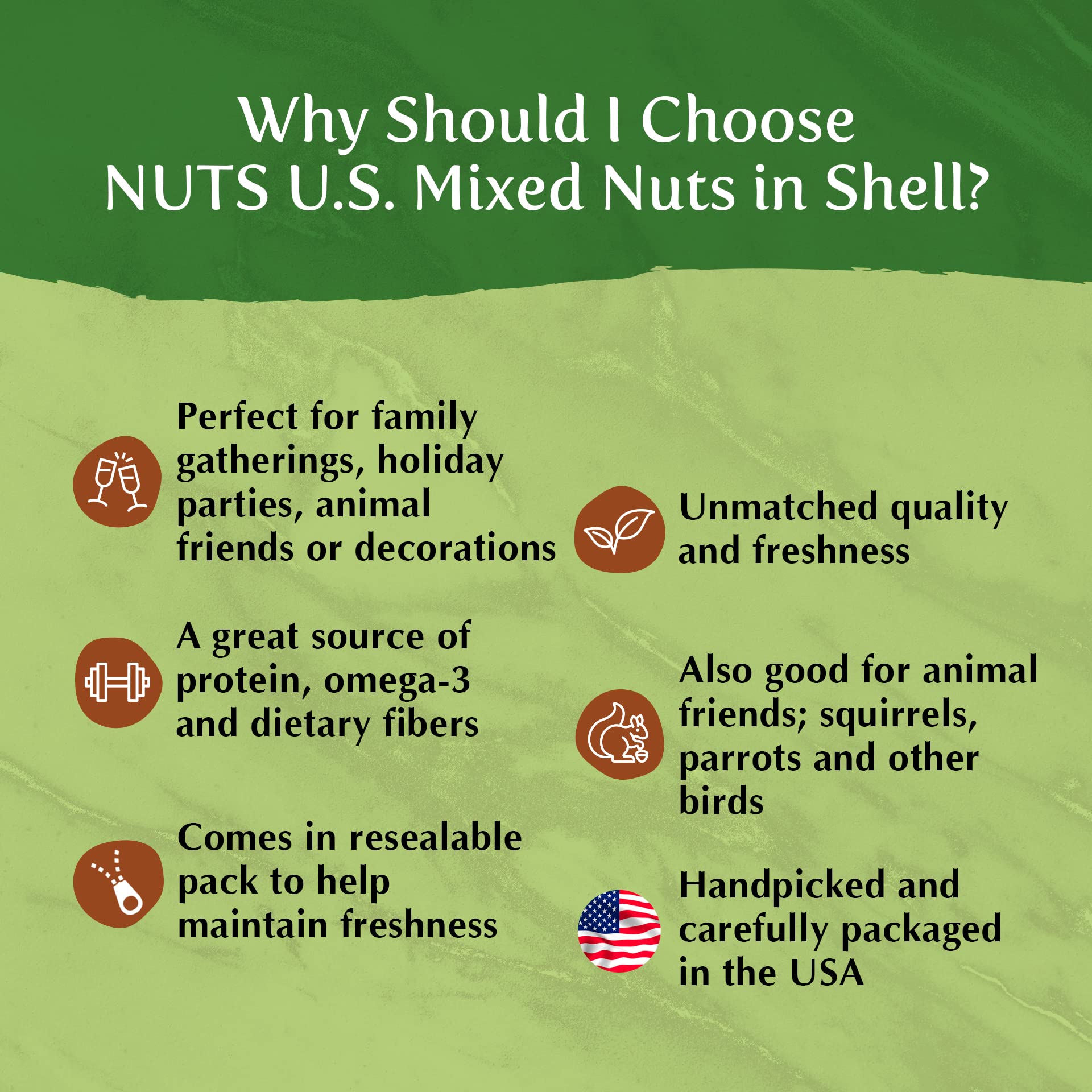 NUTS U.S. – Mixed Nuts In Shell (Almonds, Walnuts, Hazelnuts, Pecans, Brazil Nuts) | No Added Colors and No Artificial Flavors | Fresh Buttery Taste and Raw |Packed In Resealable Bags!!! (6 LBS)