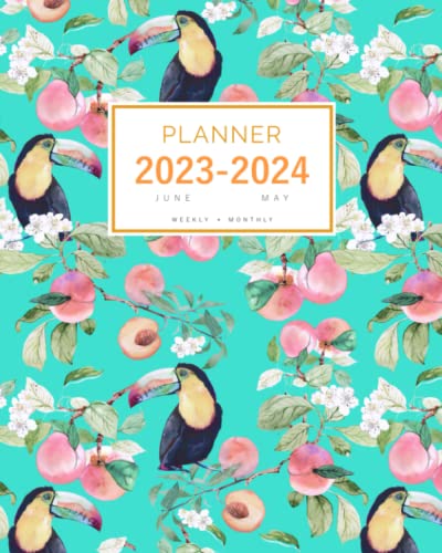 Planner 2023-2024: 8x10 Weekly and Monthly Organizer Large from June 2023 to May 2024 | Vintage Rose Wildflower Berry Design Turquoise