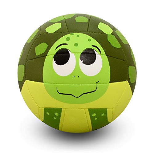 Molten Recreational Volleyball