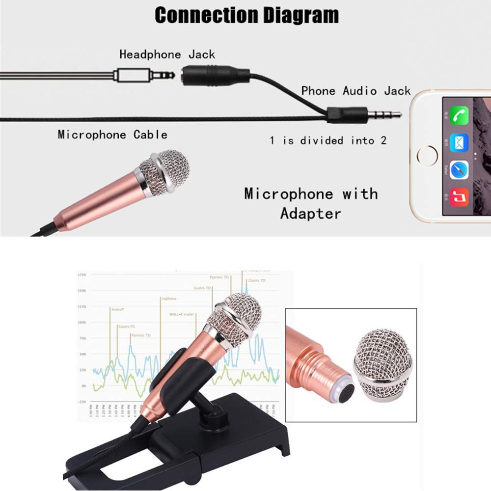 Mini Microphone, Mini Mic, for Recording/Chatting and Singing, for Mobile Phone/Laptop/ipad（Rose Gold）