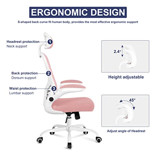 Misolant Ergonomic Office Chair, Pink, Adjustable Lumbar Support, Breathable Mesh Back, Comfortable Seat Cushion, Multiple Adjustments, Sturdy Metal Frame, 250lb Load Capacity