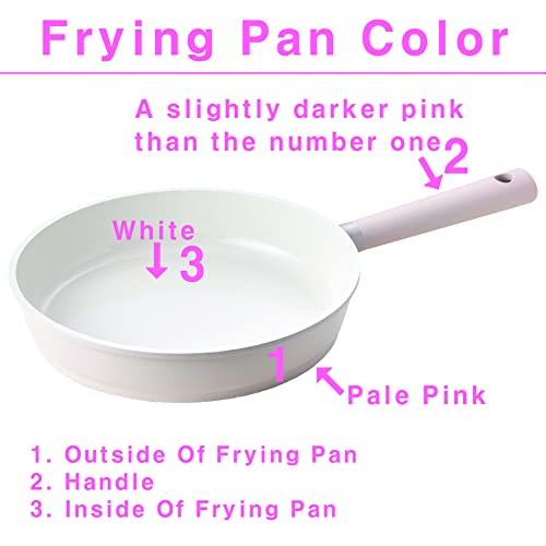 SCSP - SUI Ceramic Non-Stick Frying Pan 11Inch/Made In Korea/5 - Layer Coating/IH Induction and all heat sources available