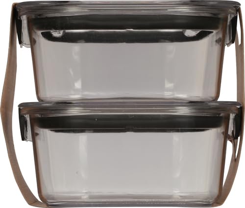 Rubbermaid Brilliance Food Storage Container, Medium, 3.2 Cup, Clear, 2-Pack (2025333)