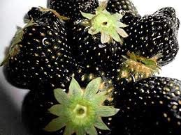 MITRAEE 100 Strawberry Fruits Seeds Black.