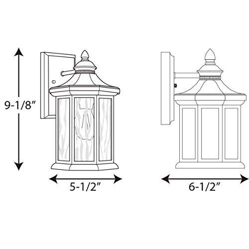 Progress Lighting Edition Collection 1-Light Water Glass Traditional Outdoor Medium Wall Lantern Light Antique Bronze, 7"