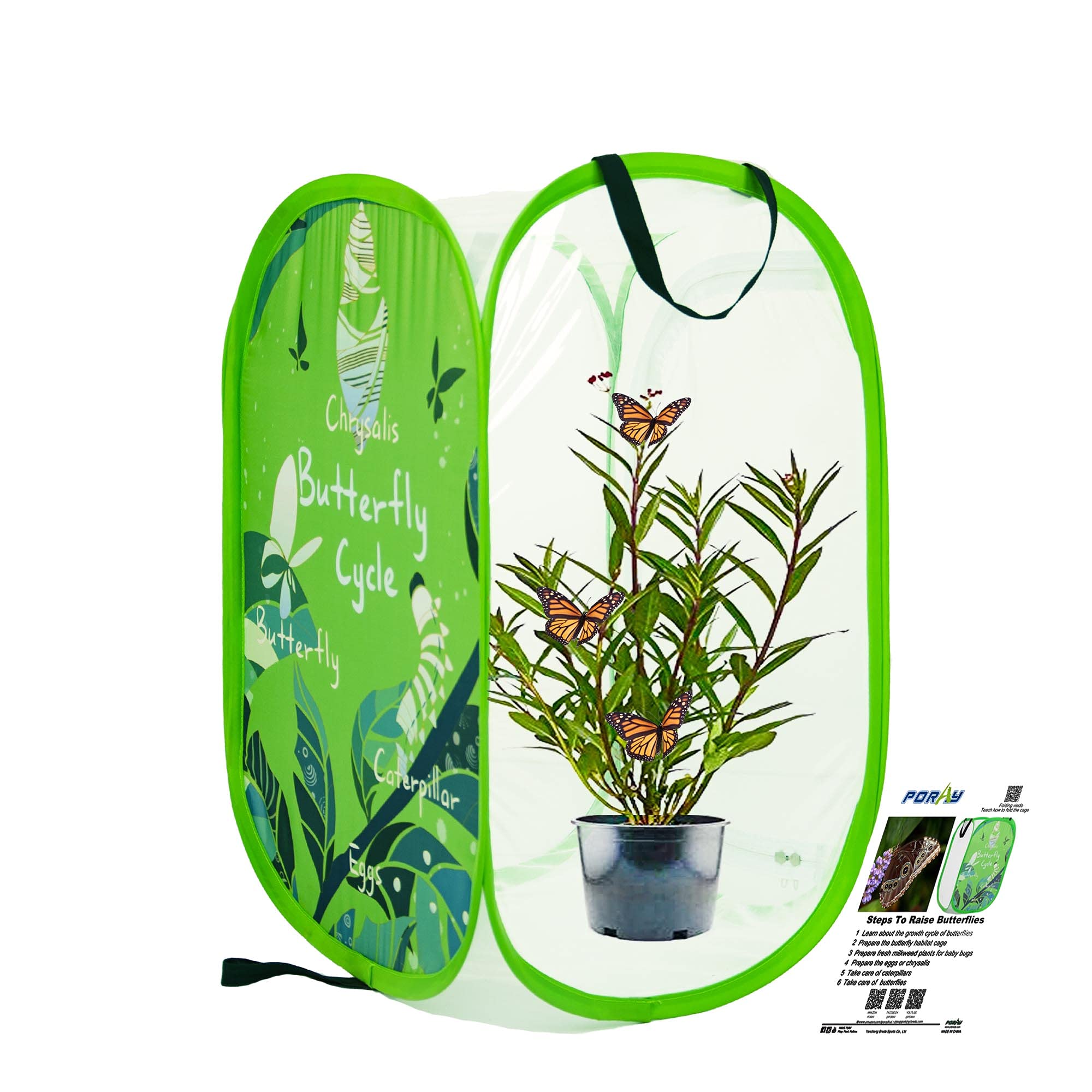 Pop-up Insect and Butterfly Habitat,24" Tall Milkweed plants Net,Collapsible Mesh Cage with Transparent PVC Wall for Observation 16 x 16 x 24 Inches