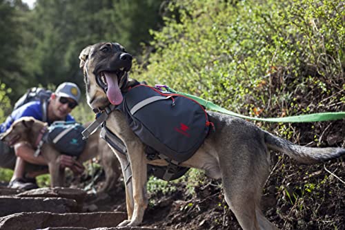 Mountainsmith K9 Dog Pack, Adjustable Chest and Back Harness Canine Backpack, Saddle Bags with Zippered Pockets for Camping, Travel, Outdoors, Backpacking, Hiking