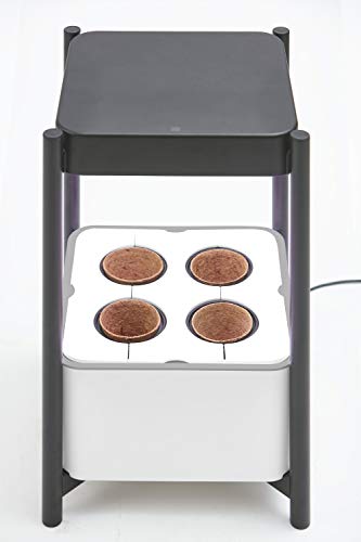 Miracle-Gro Twelve Transplanting Kit, Includes 4 Coir Liners and 4 Large Net Cups - Use Twelve Indoor Growing System - Designed for Growing Plants in Hydroponic Systems