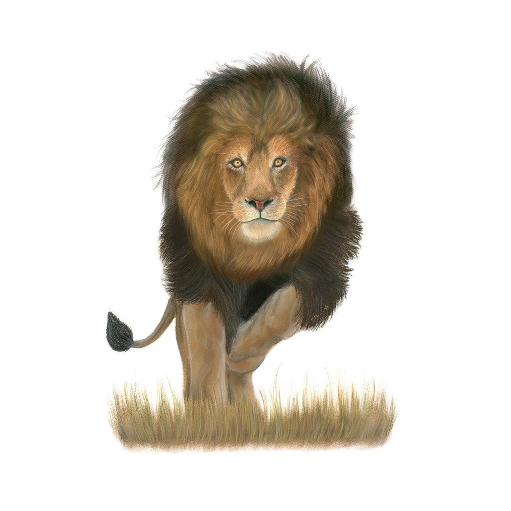 Male Lion With Flowing Mane Portrait, African Safari Art, Brown, Beige - Various Sizes Available