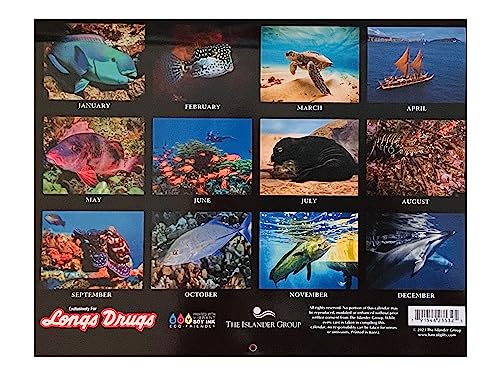 Long's Hawaii 2024 Hawaiian Twelve-Month Wall Calendar (Hawaii Tide and Moon Phase)