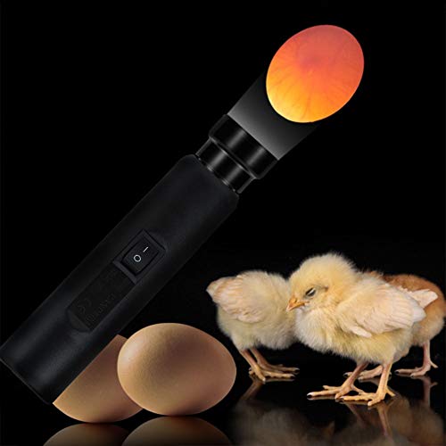 zjchao LED Egg Candler Light, High Intensity Bright Cool Light Monitoring Eggs Development Flashlight for Chickens Ducks Birds Eggs
