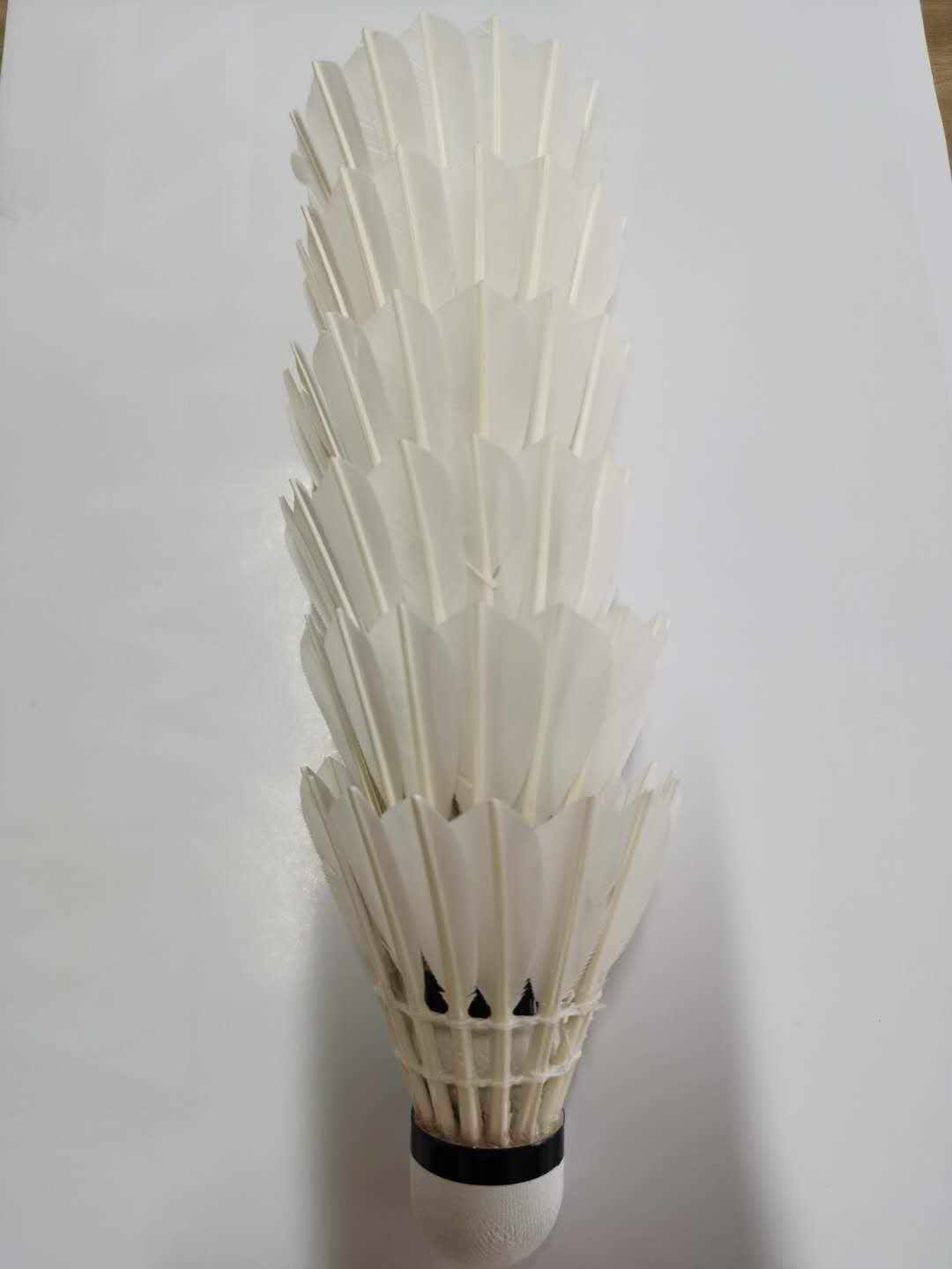 N/C Goose Feather Shuttlecock Durable Very Good 12 pcs in one Tube