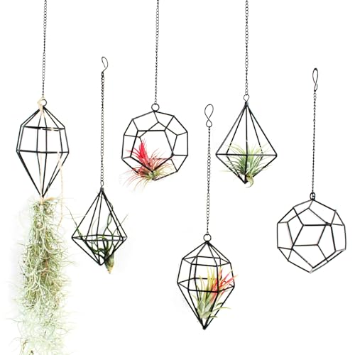 libproqia Small Air Plants Hanging Holders Wire Airplants Planter Hanger Black Geometric Metal Himmeli 6pcs Tillandsia Air Fern Display Holders for Hanging Air Plants