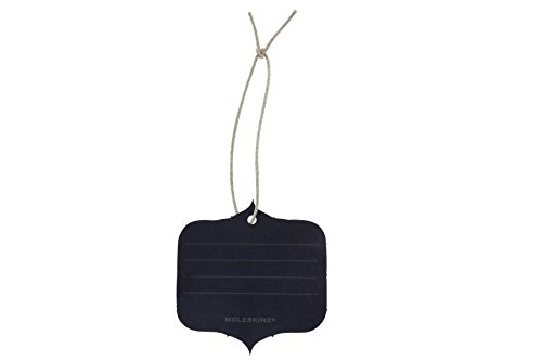 Moleskine Journey Ornament Note Card with Envelope, (3.5" x 5.5") Plain/Blank, Indigo Blue/Snowy Bicycle