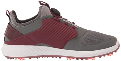 PUMA Men's Ignite Pwradapt Caged Disc Golf Shoe, Quiet Shade Silver-Zinfandel, 13