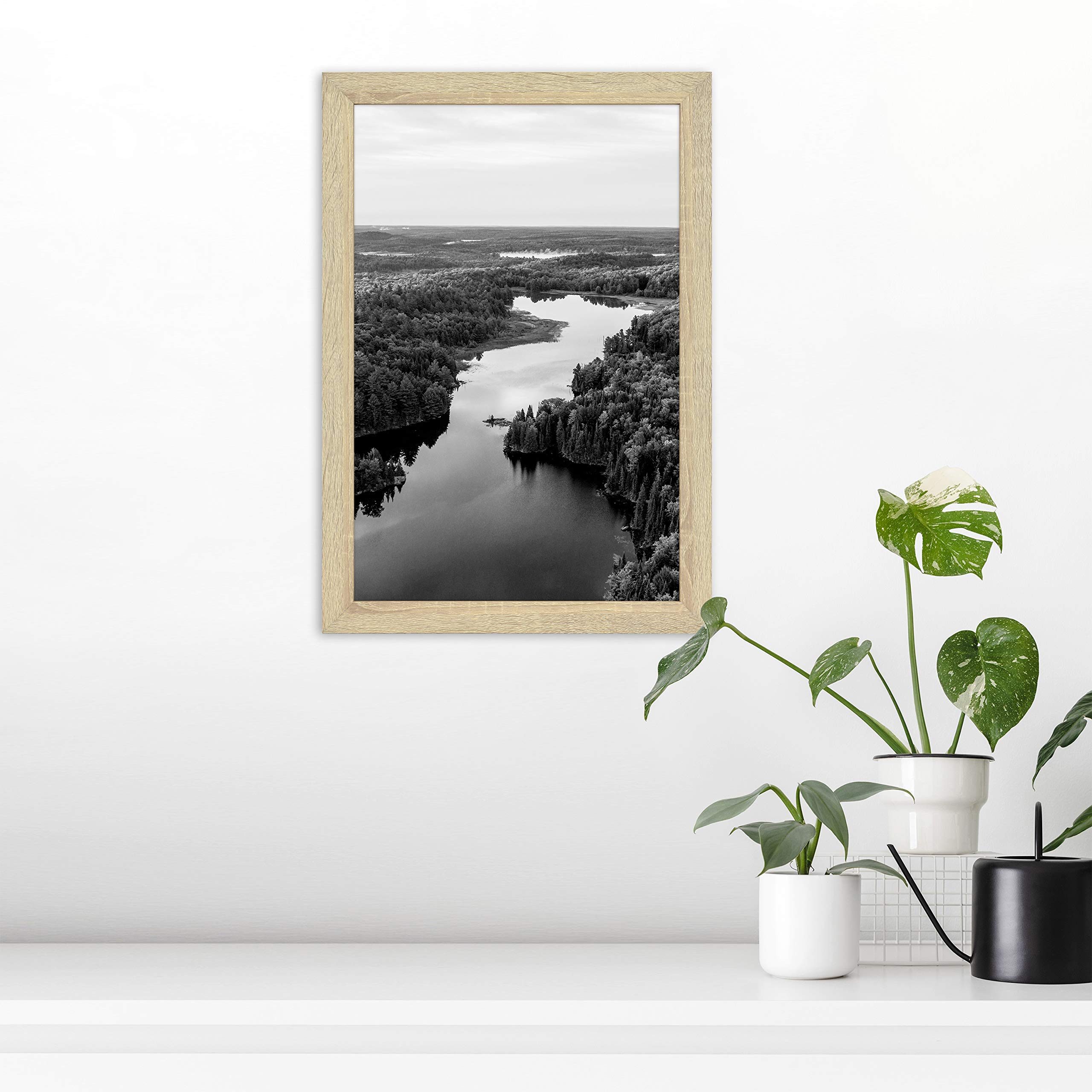MCS Studio Gallery 12x18 Picture Frame Natural Woodgrain, Rectangle Photo Frame for Photos, Posters & Art Prints (1-Pack)