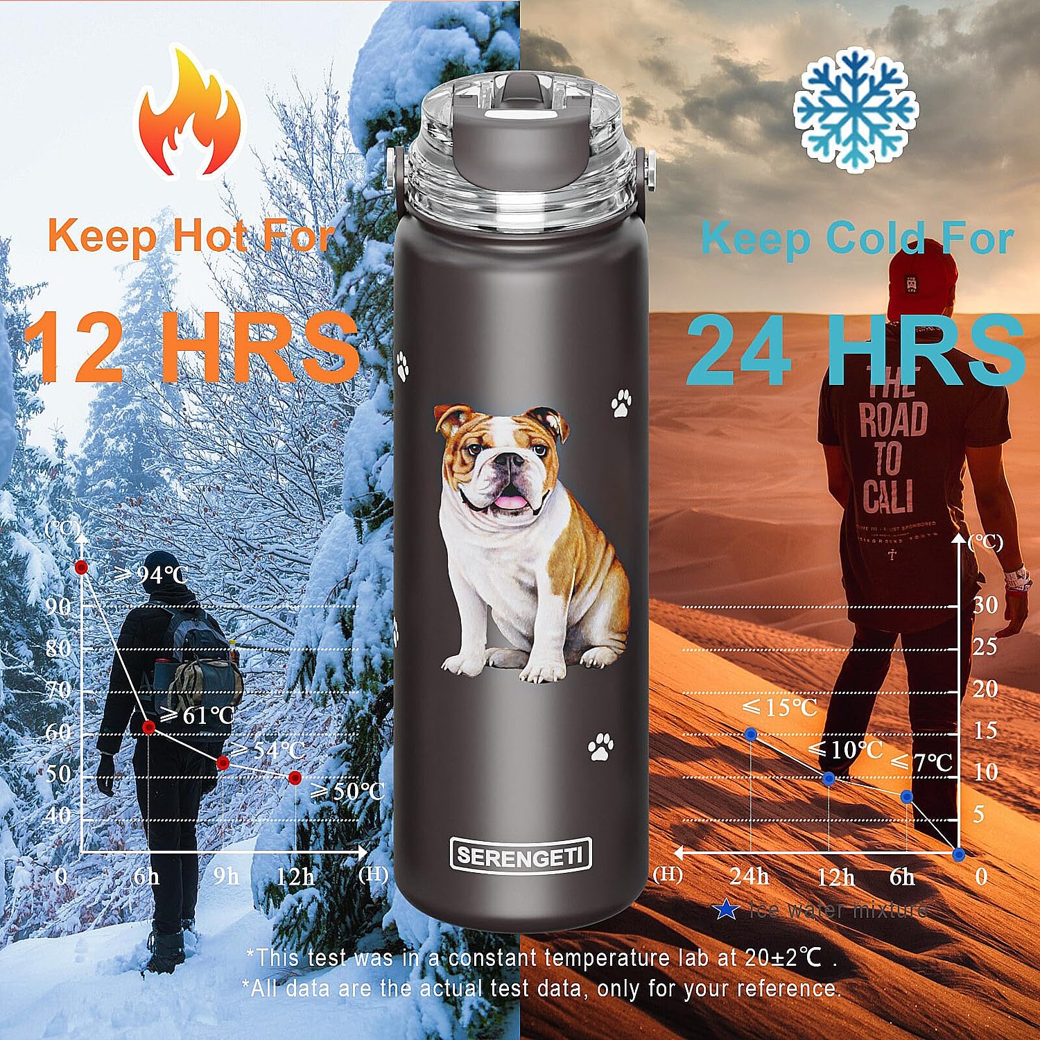 Stainless Steel Water Bottle 24 Oz. with Spill Proof detachable straw - Double walled Vacuum Insulated water flask - Realistic 3D Print - SERENGETI waterbottle (Beagle)