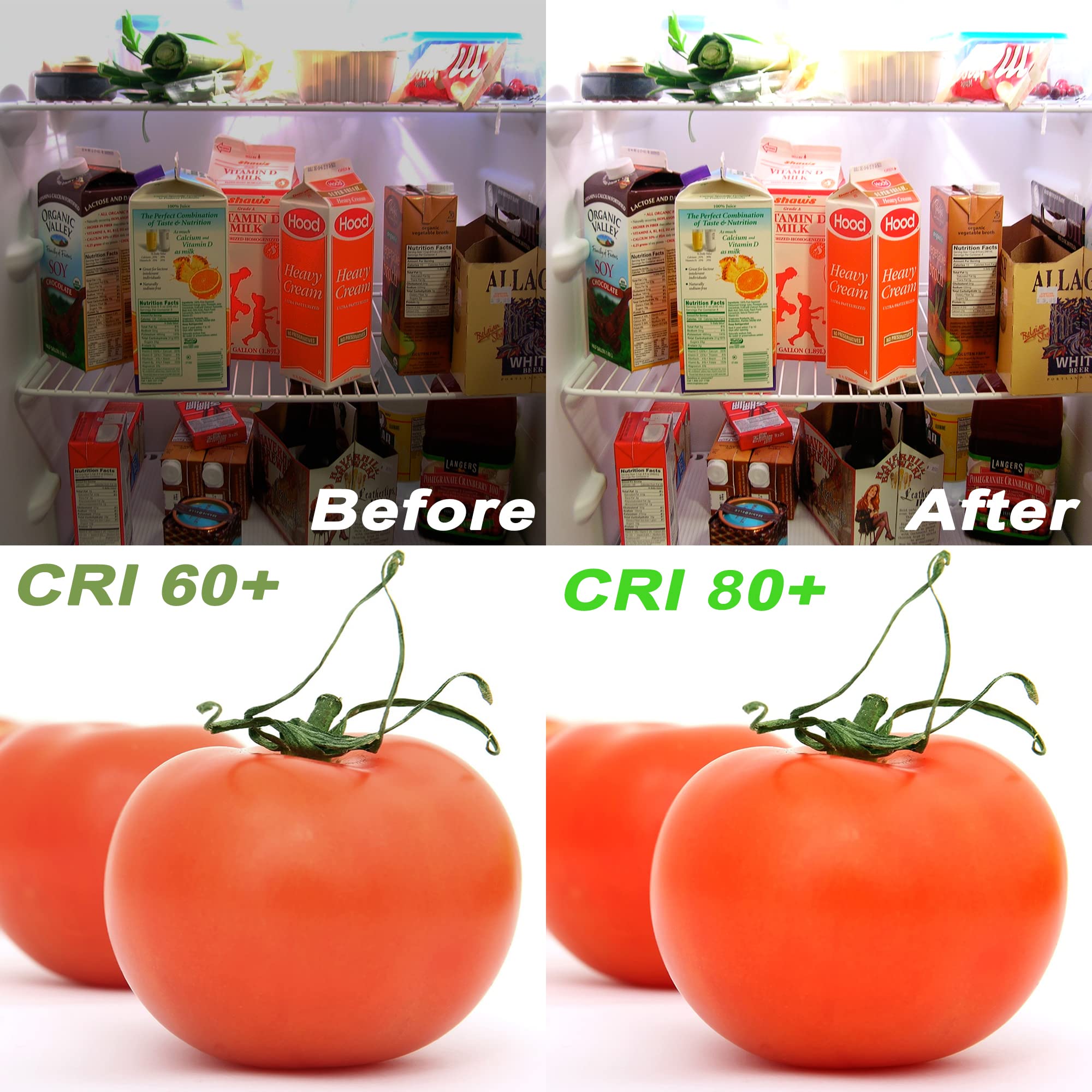 REMINDA A15 Appliance Light Bulb, 5W 40W Equivalent Led Refrigerator Bulb, 120V E26 Medium Base, Waterproof, 500LM, Daylight 5000K, 2 Pack