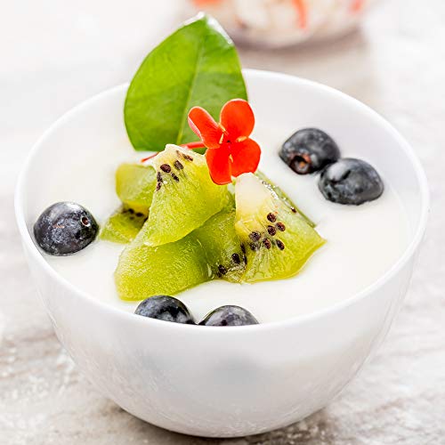Restaurantware 4 Ounce Mini Bodega Cups 100 Round Small Appetizer Cups - Lids Sold Separately Heavy-Duty White Plastic Parfait Cups Serve Mousse Puddings Or Samples For Weddings Or Parties