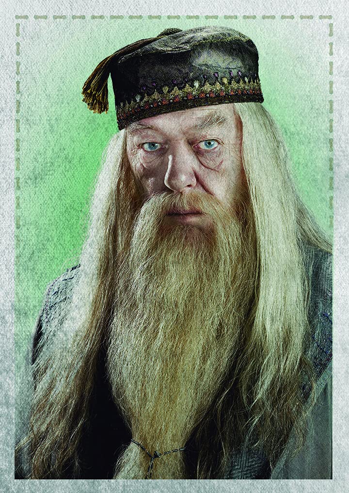 Panini Harry Potter Witches & Wizards Sticker Collection Packs (x50 Packs), Mix, 1