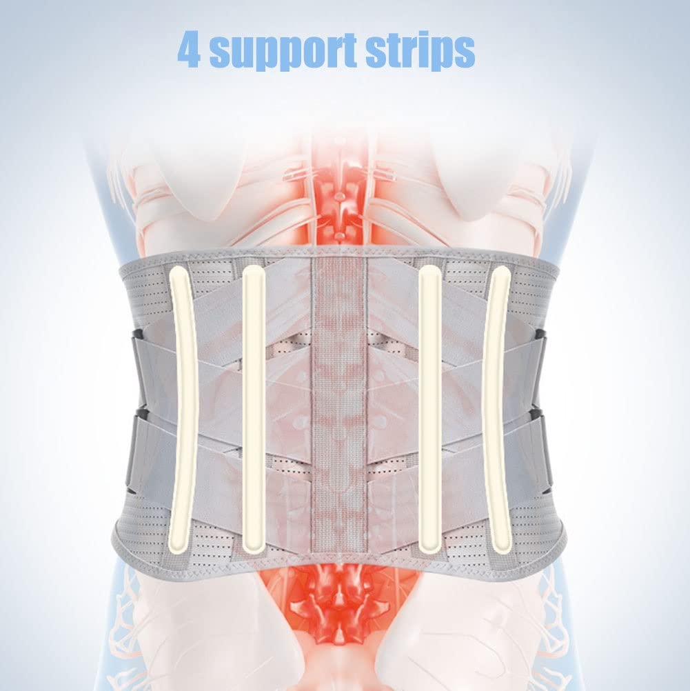 TANGIST Back Brace Pain Relief For Men And Women Adjustable Lumbar Support Belt Breathable For Sciatica Pain Heavy Lifting Waist Support Lower Back Brace Herniated Disc Gray (Size : M/Medium)