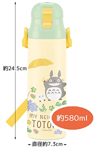 Skater SDC6N-A My Neighbor Totoro Sanpomichi Ghibli Children's Stainless Steel Water Bottle, Direct Drinking 20.9 fl oz (580 ml)