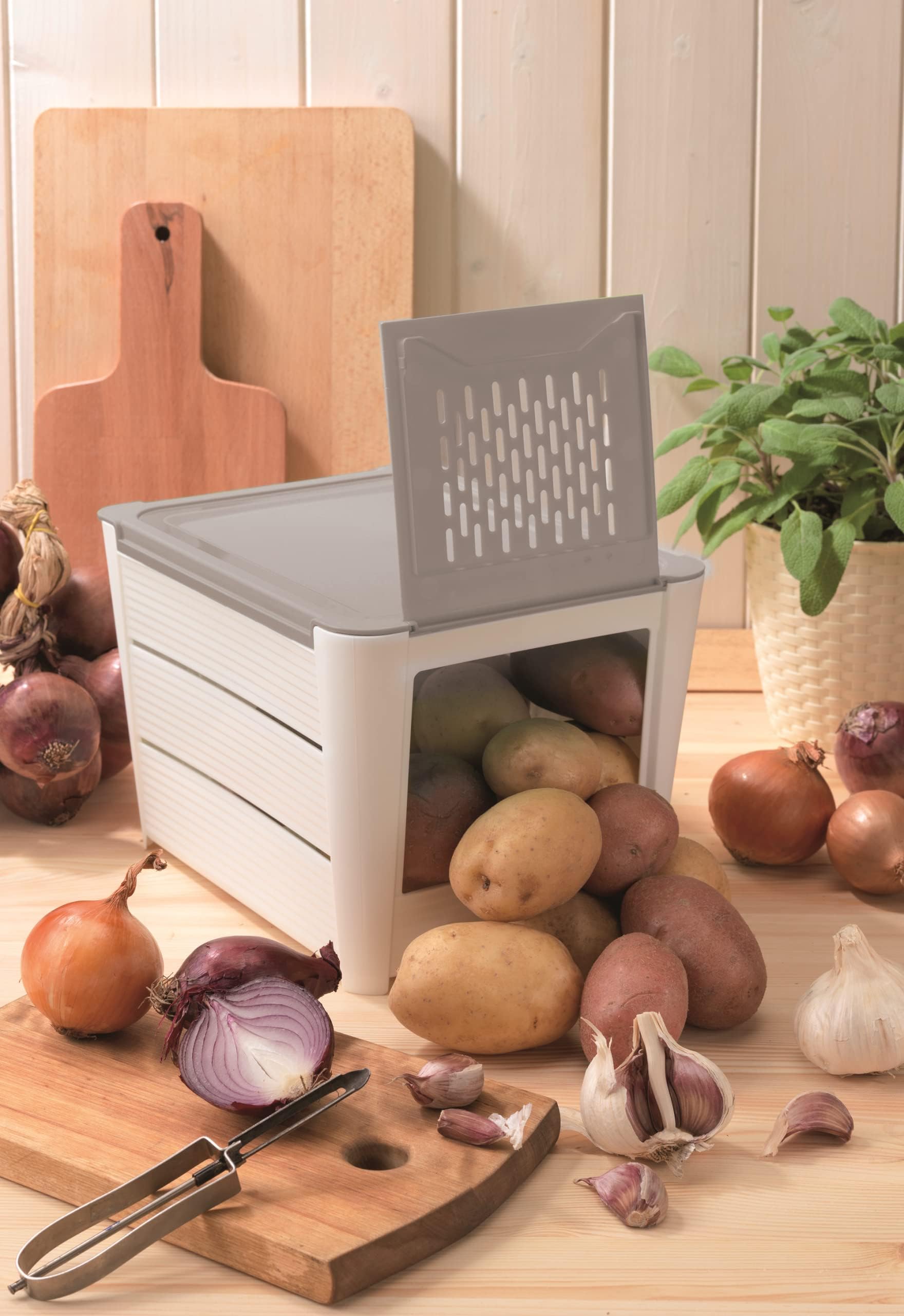 Snips Potato, Onion and Vegetable Keeper Food Storage Container, 10.2" x 7.87" x6.89", White/Gray