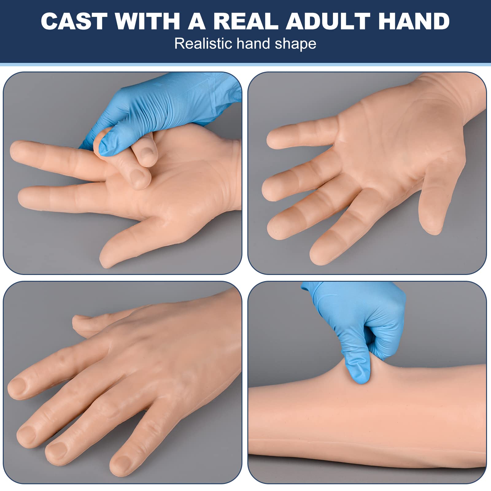 Medarchitect IV Injection & Phlebotomy Arm Practice Kit with Intravenous Infusion, Blood Draw, Venipuncture Techniques Training Model