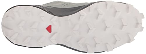 Salomon womens Salomon Women's Speedcross 5 for Women Trail Running Shoe, Wrought Iron/Spray/White, 9.5 US