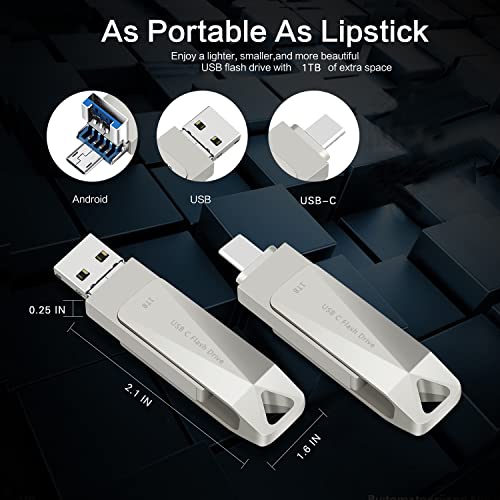 USB Flash Drive Memory Stick Android USB C Phone Photo Stick High Speed Data Storage Drive 1000GB USB 3.0 Thumb Drives WANSISEN for Android Phone Mac-Book Pad Pro Tablets and Computer (Grey, 1TB)