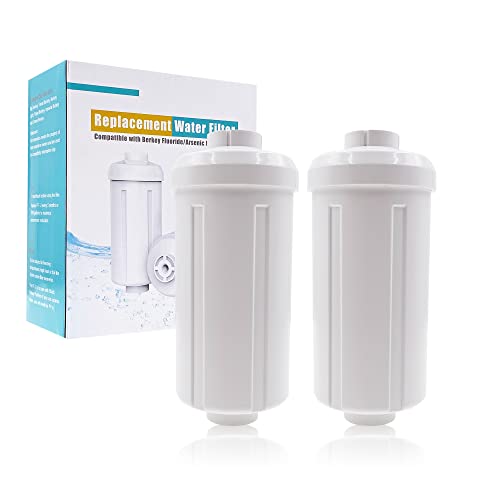 ShuRex Replacement White Fluoride Water Filter, Fluoride and Arsenic Reduction Element Filter, Compatible with Berkey and other Gravity Filtration System (Pack of 2 x White Fluoride Filters)