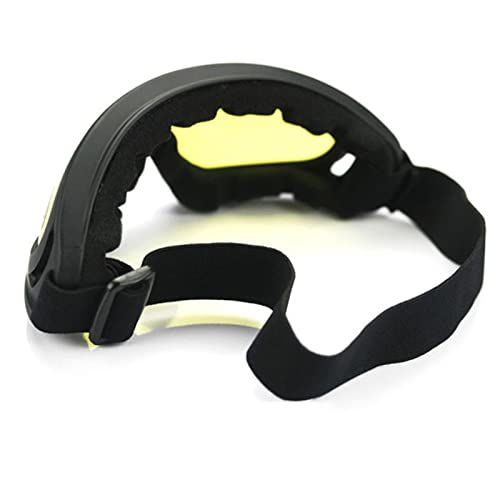 Ski Goggles Snow Goggles Mountain Skiing Eyewear Snowmobile Winter Sport Gogle Snow Glasses Ski Snowboard Goggles (Color : C)