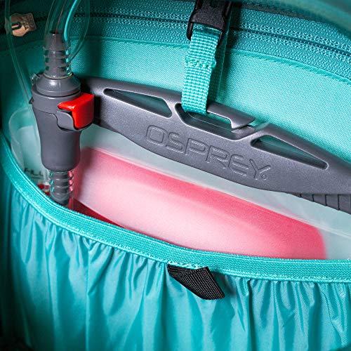 Osprey Hikelite 26 Hiking Backpack , Aloe Green