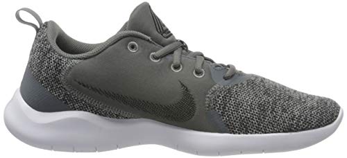NIKE Men's Flex Experience RN 10 Running Shoe, Smoke Grey Black Grey, 8.5