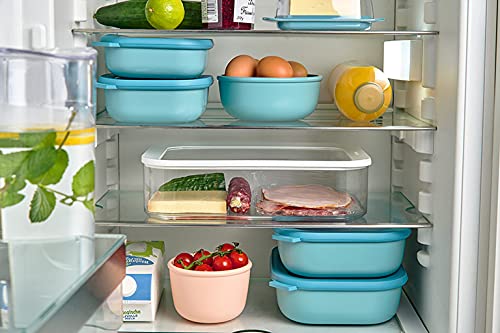 Rosti Mepal RST62160BLK Cirqula Multi Food Storage and Serving Bowl with Lid, Low 2.3 Quart, Black