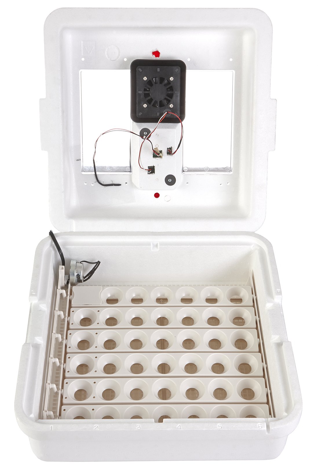 Little Giant® Digital Circulated Air Incubator | 41 Eggs | Egg Incubator with Fan, Temperature and Humidity Control | Hatching Eggs