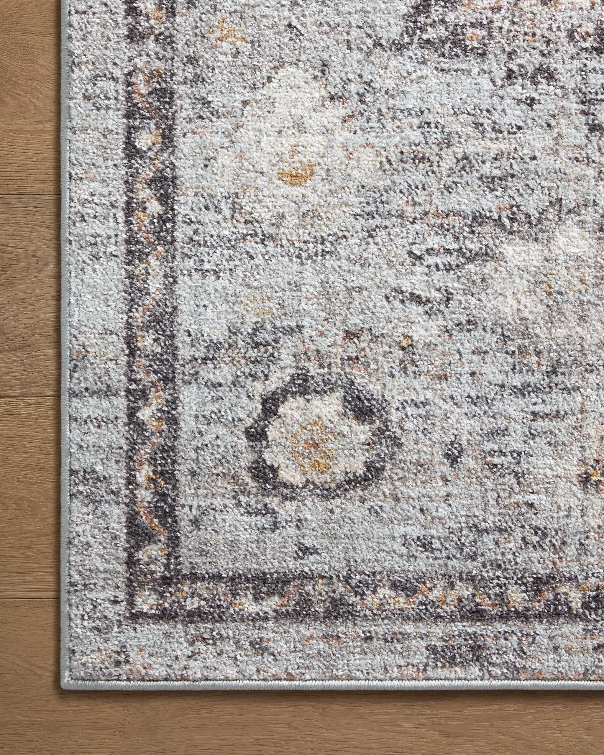 Loloi Monroe Sky/Gold 9'-3" x 13' Area Rug