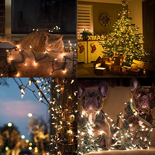WATERGLIDE Christmas String Lights, 150 Lights 120V UL Certified Incandescent Clear Mini Green Wire Fairy Light, Xmas Tree Lights for Patio Wreath Garland Garden Outdoor Indoor Decoration